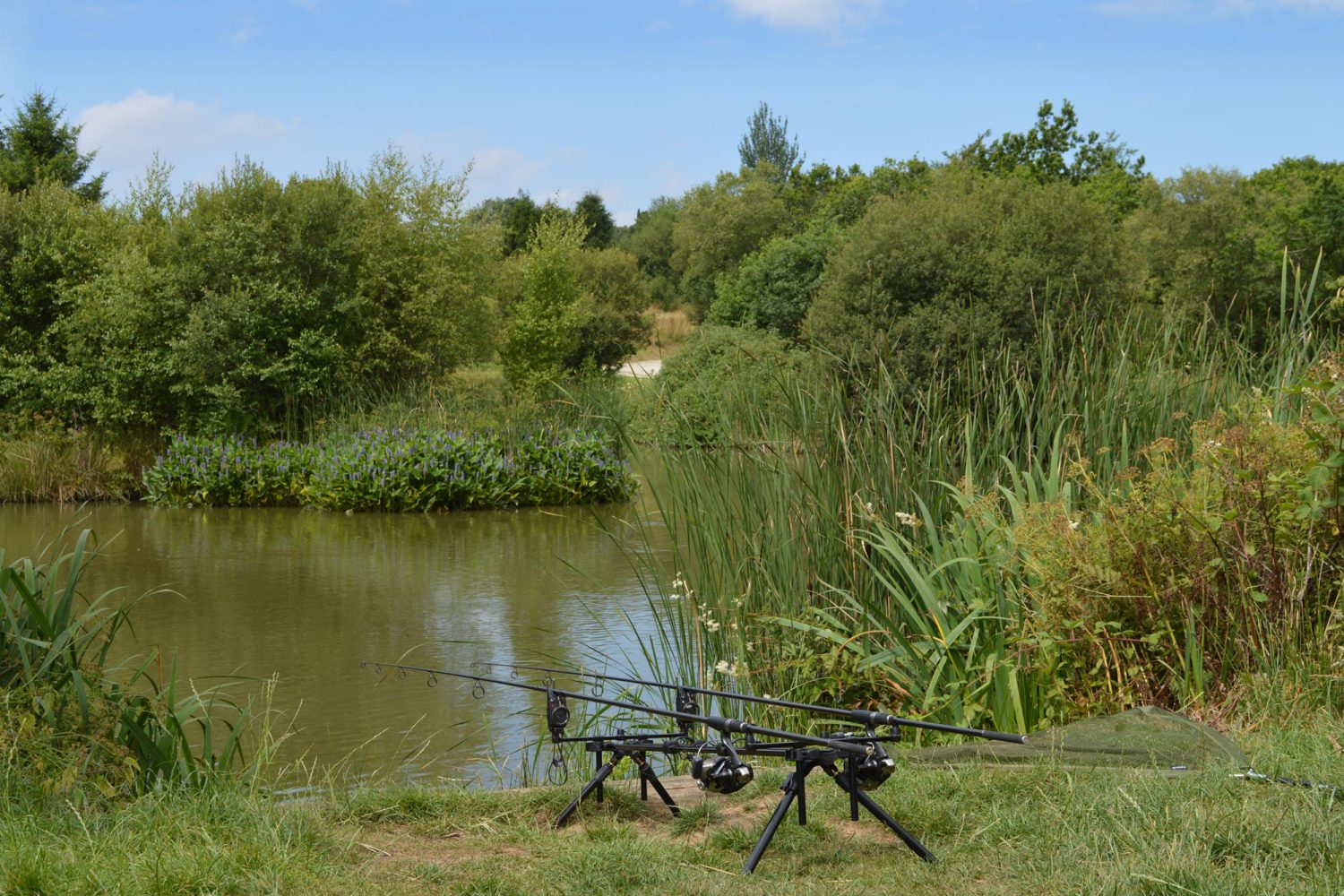 Lakes | Octopussy Lake - Anglers Paradise