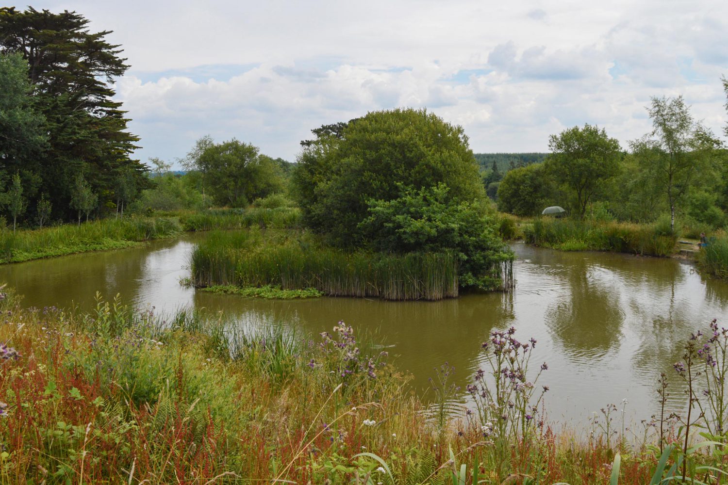 Lakes at Anglers Paradise Devon - Anglers Paradise