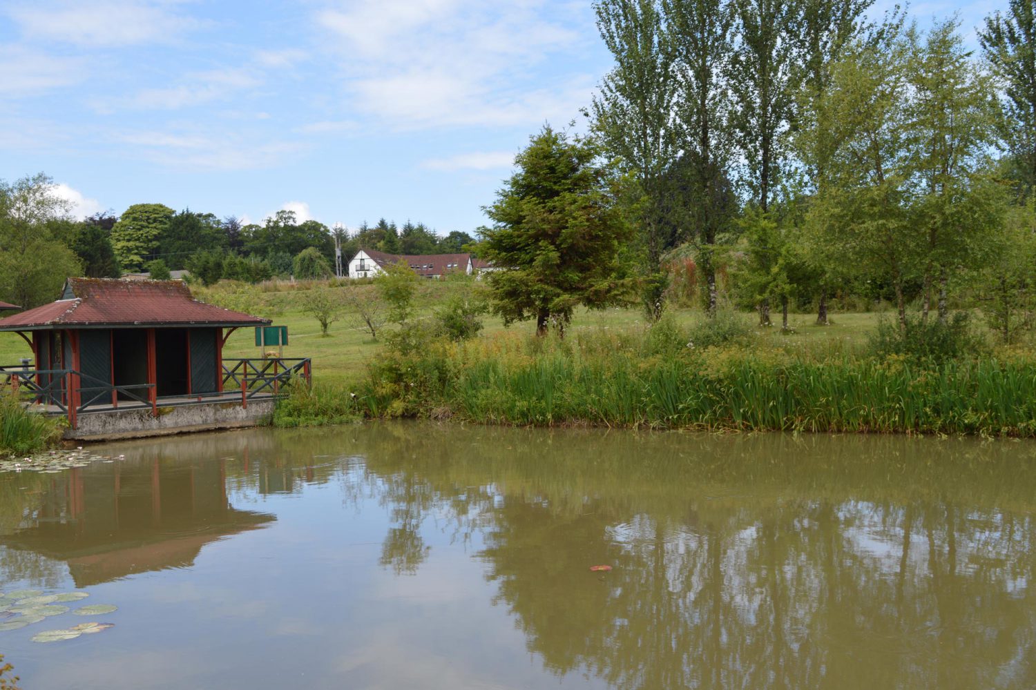 Lakes | Tench Lake - Anglers Paradise